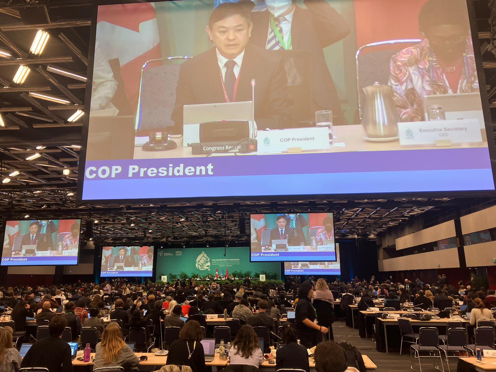 COP15 represents a major win for people and biodiversity justice, and an opportunity to make ...