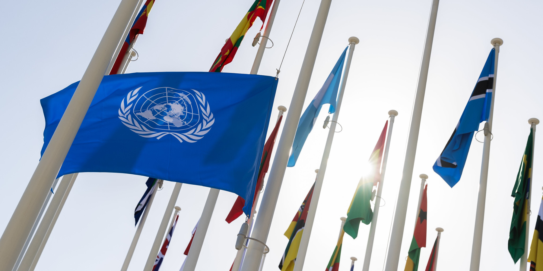 Climate Action Network Canada releases expectations for Canada at COP30 ...